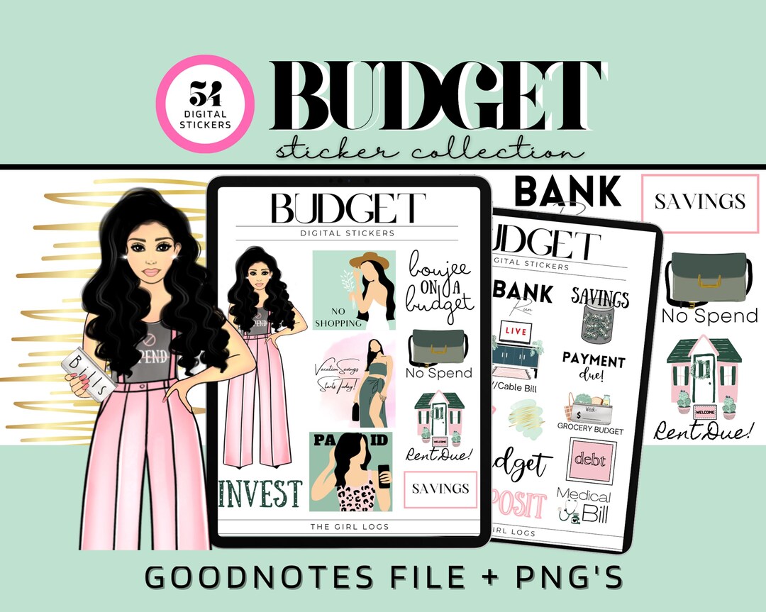 Budget Stickers, Budgeting Stickers, Goodnotes Stickers, Digital ...