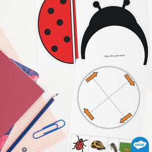 Ladybug Life Cycle Craft – Fun & Educational! - Etsy