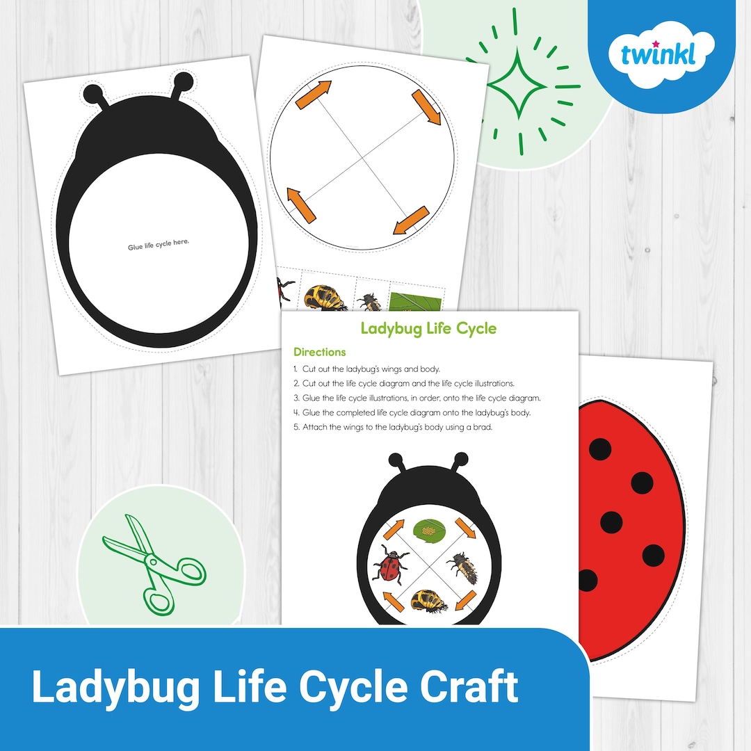 Ladybug Life Cycle Craft – Fun & Educational! - Etsy