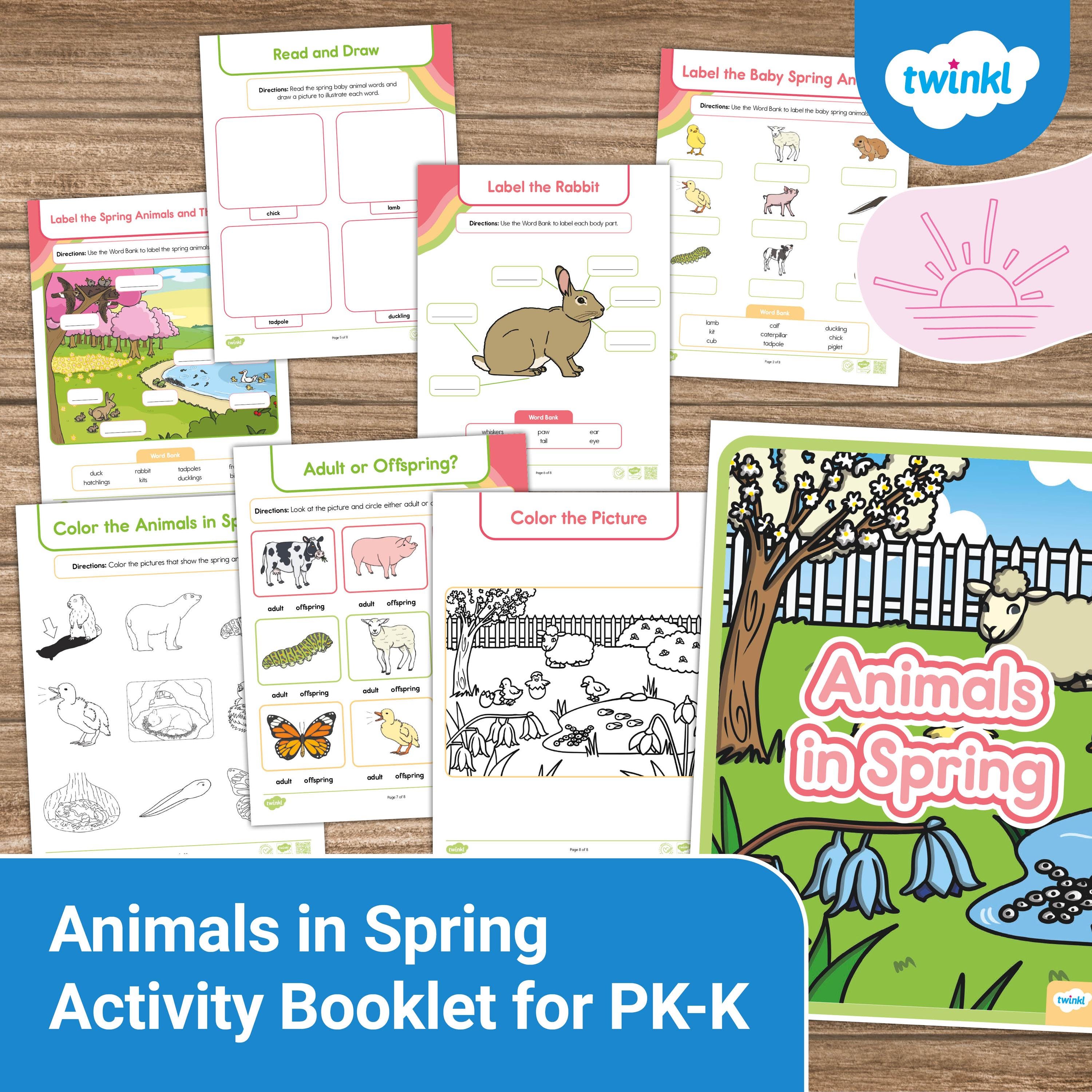 Animals in Spring Activity Booklet for PK-K - Etsy