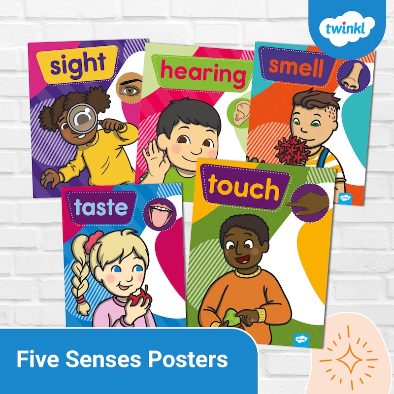 Five Senses Poster - Etsy