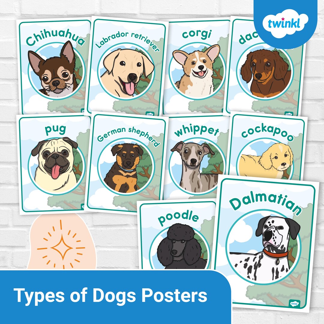 Types of Dogs Posters - Etsy