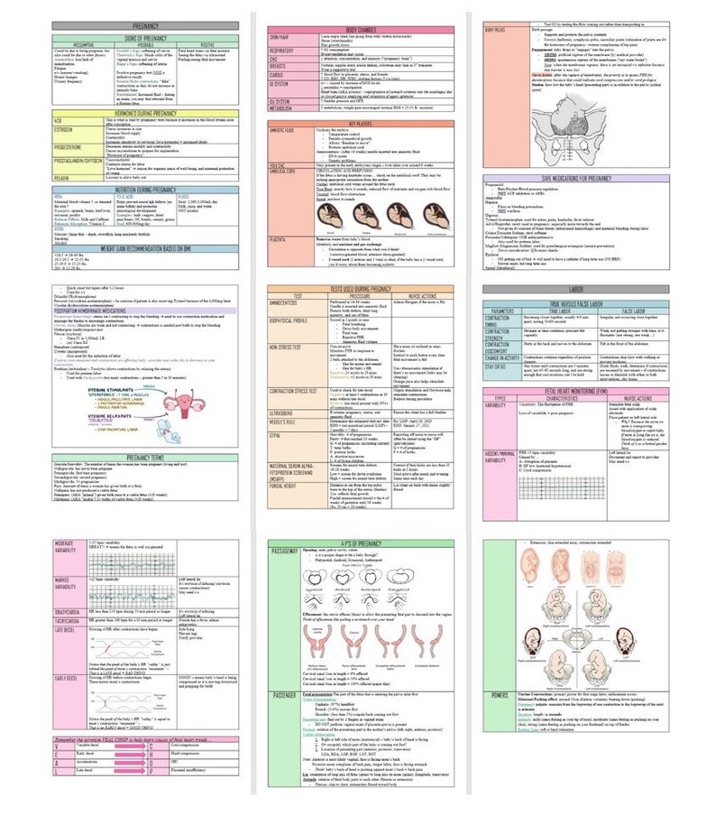 Maternal / Newborn Nursing Notes - Etsy