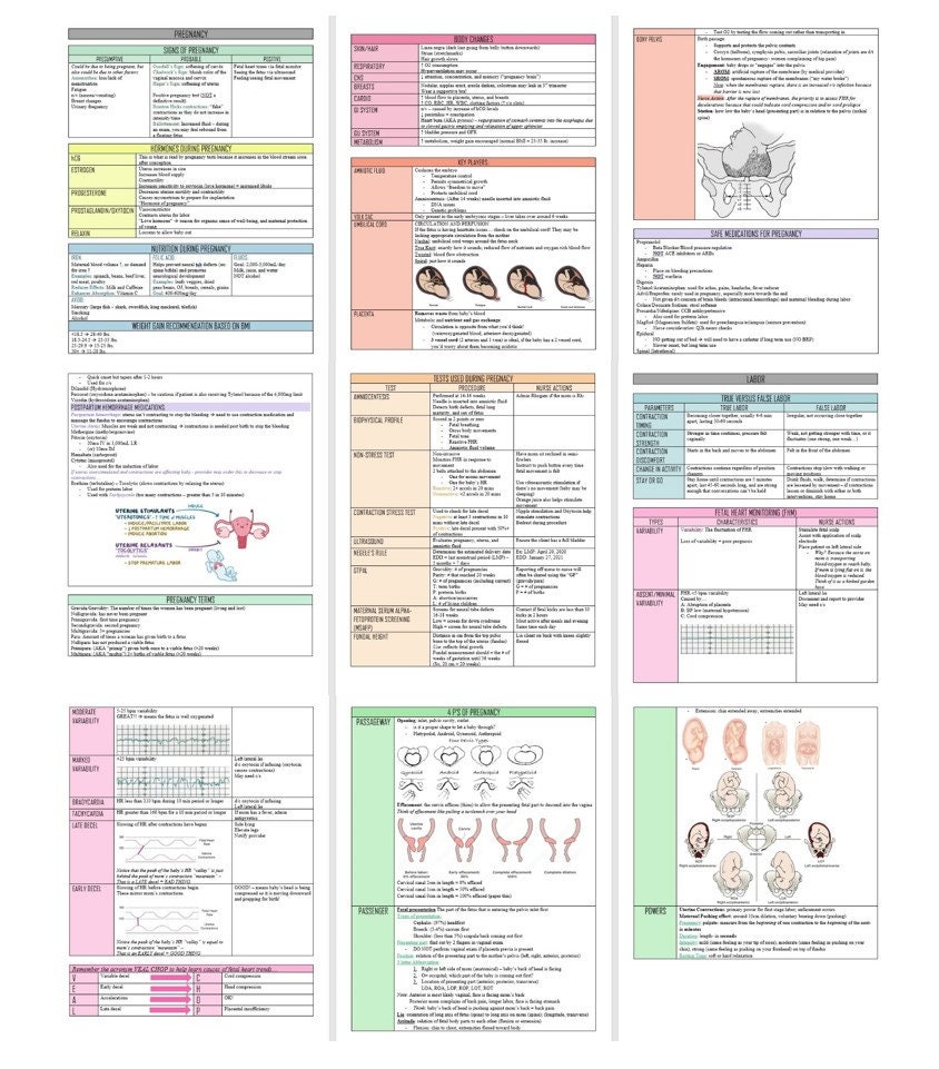 Maternal / Newborn Nursing Notes - Etsy