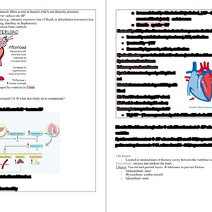 Cardiac Nursing Notes Bundle - 21 PAGES - Etsy