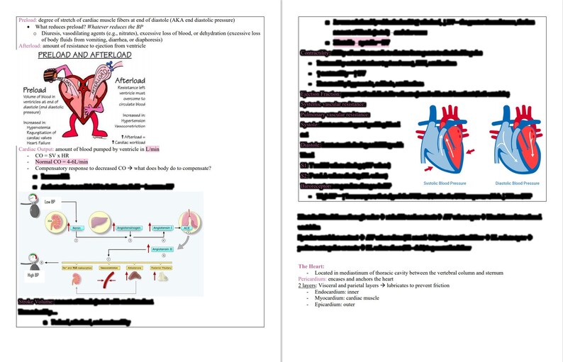 Cardiac Nursing Notes Bundle - 21 PAGES - Etsy