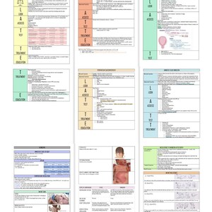 Maternal / Newborn Nursing Notes - Etsy