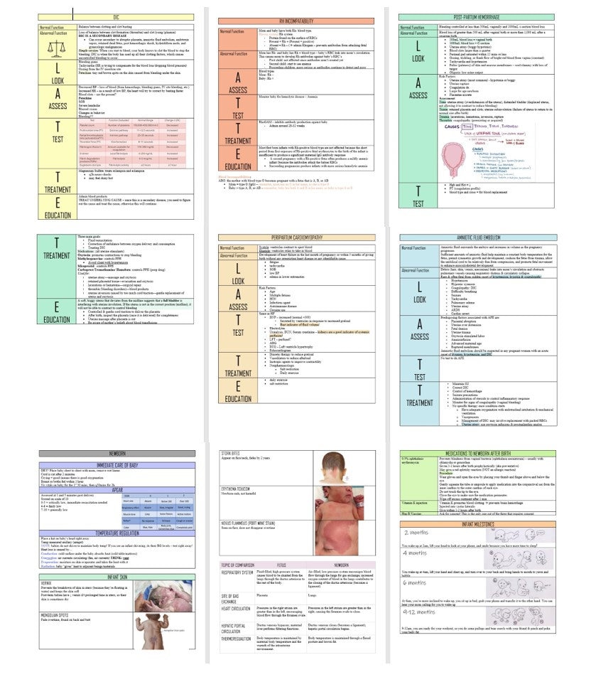 Maternal / Newborn Nursing Notes - Etsy