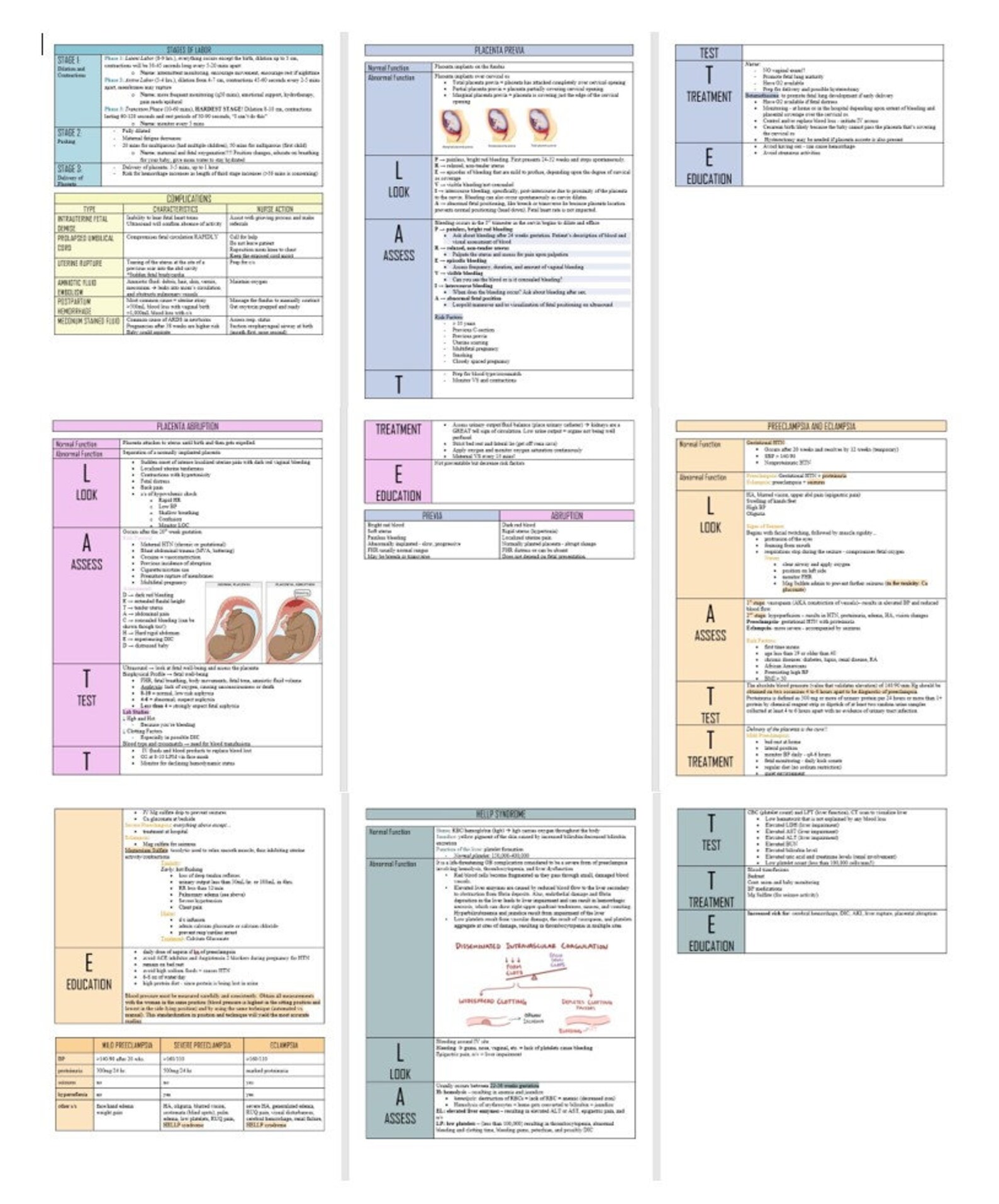 Maternal / Newborn Nursing Notes - Etsy