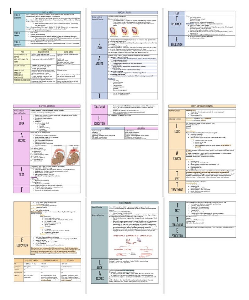 Maternal / Newborn Nursing Notes - Etsy