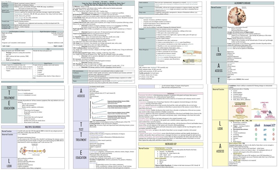 Neuro Nursing Notes Bundle - 23 PAGES - Etsy