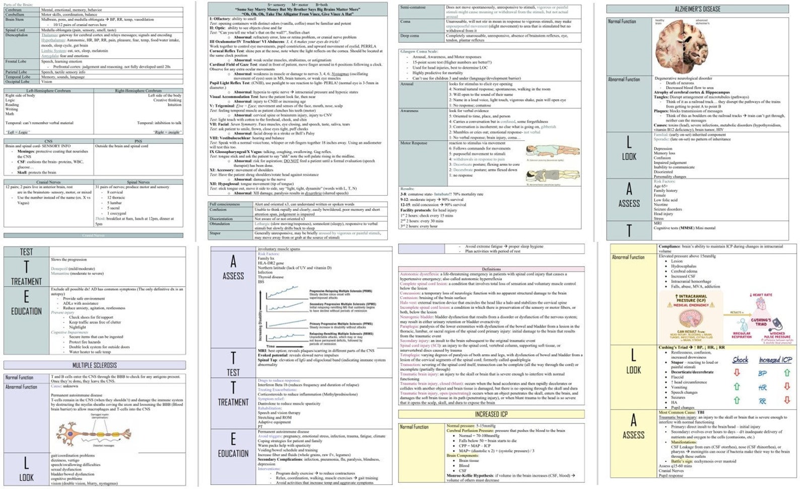 Neuro Nursing Notes Bundle - 23 PAGES - Etsy