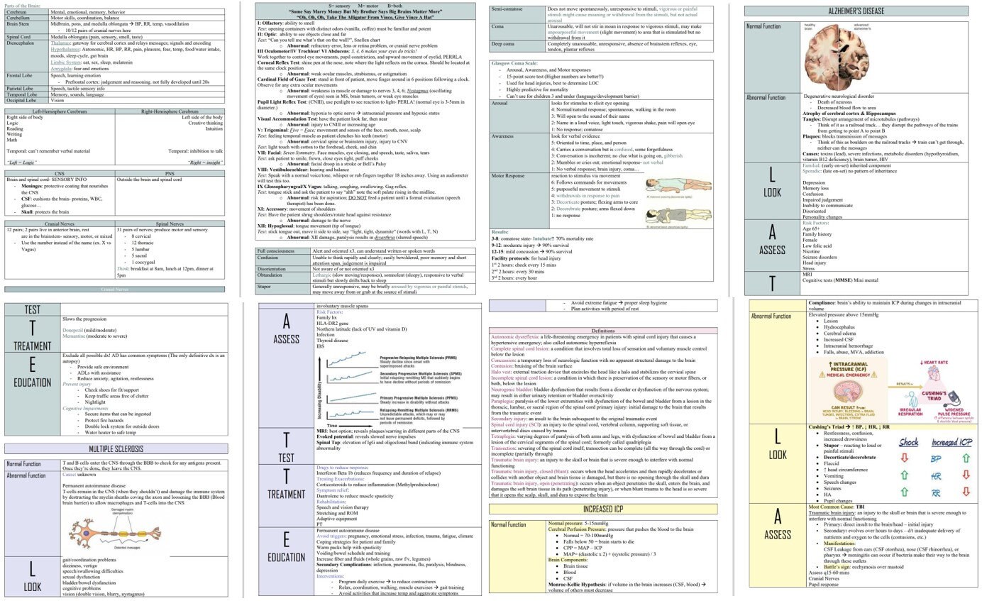 Neuro Nursing Notes Bundle - 23 PAGES - Etsy