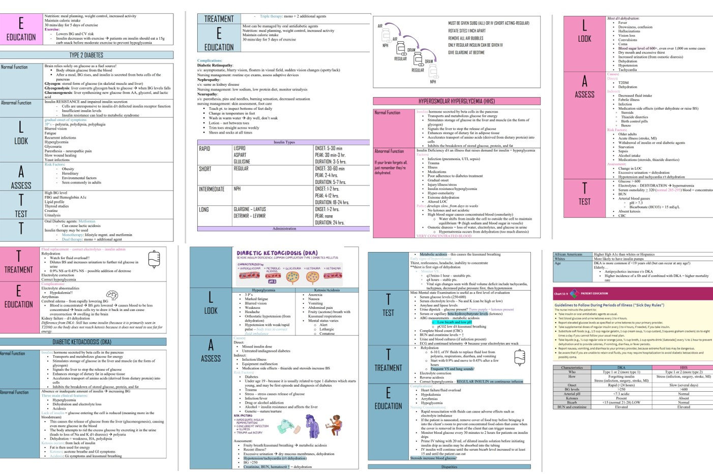Endocrine Nursing Notes Bundle - 16 PAGES - Etsy