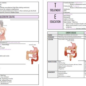 GI System Nursing Notes Bundle - 18 PAGES - Etsy UK