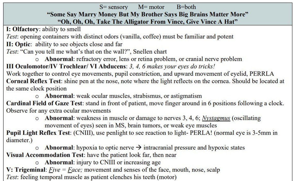 Neuro Nursing Notes Bundle - 23 PAGES - Etsy