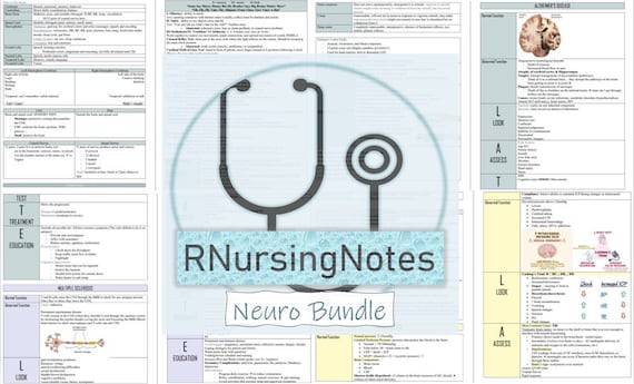 Neuro Nursing Notes Bundle 23 PAGES | Etsy