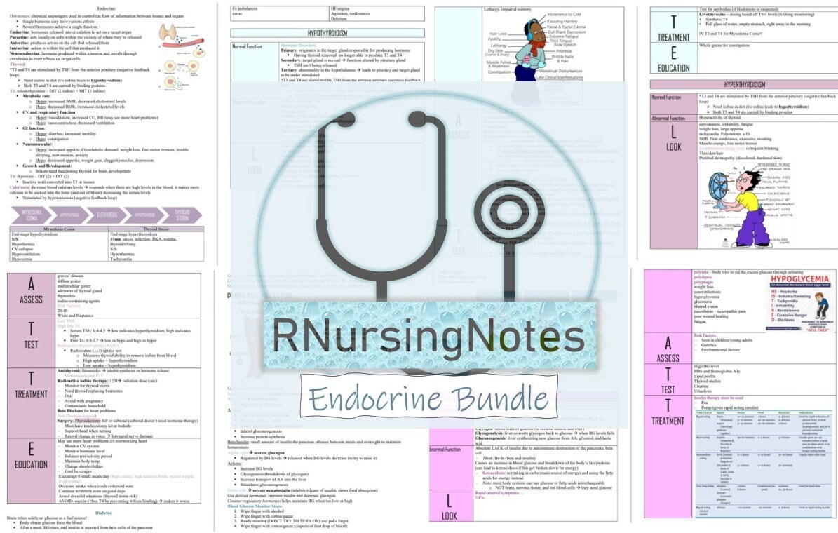 Endocrine Nursing Notes Bundle 16 PAGES - Etsy