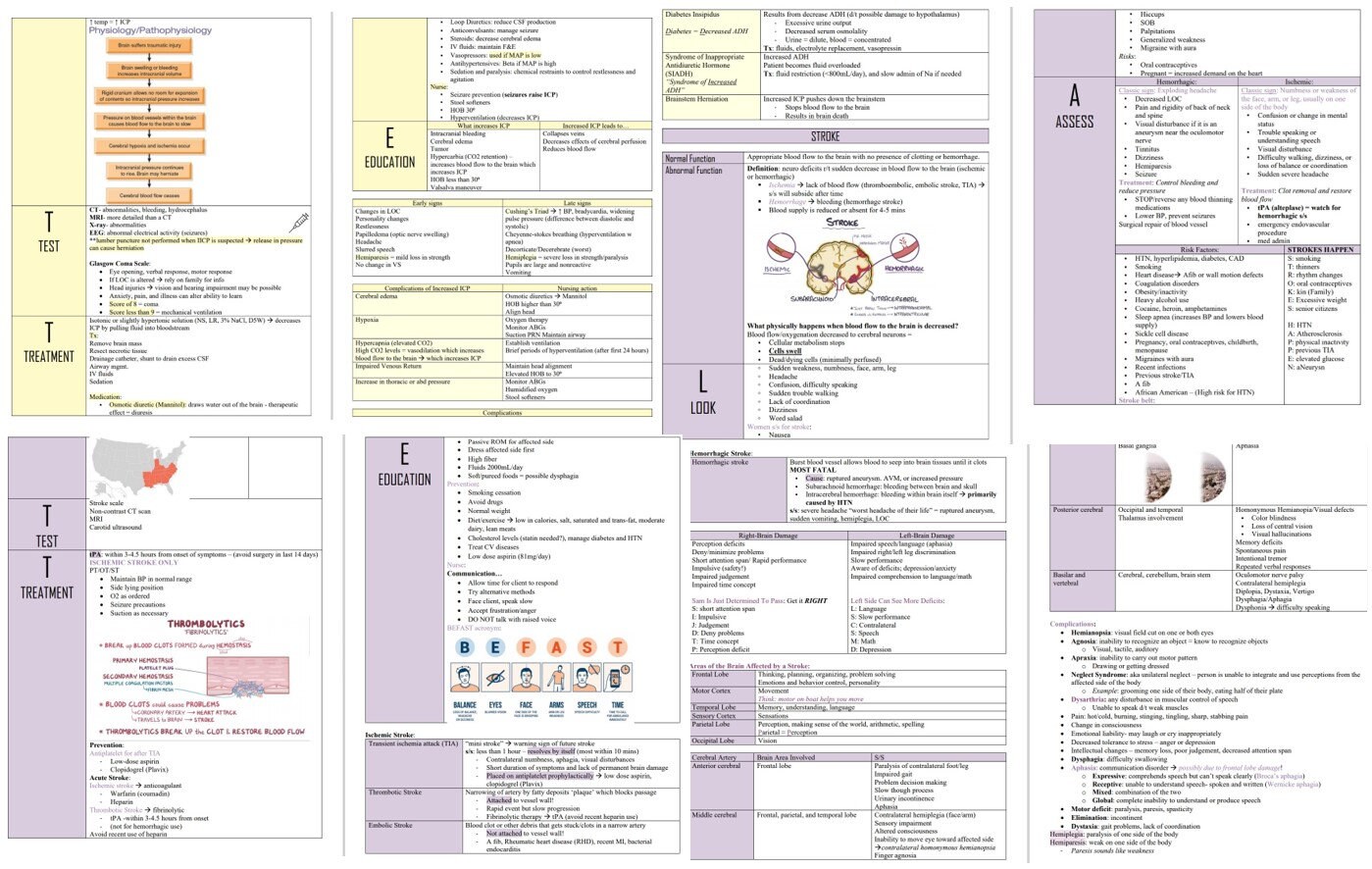 Neuro Nursing Notes Bundle - 23 PAGES - Etsy