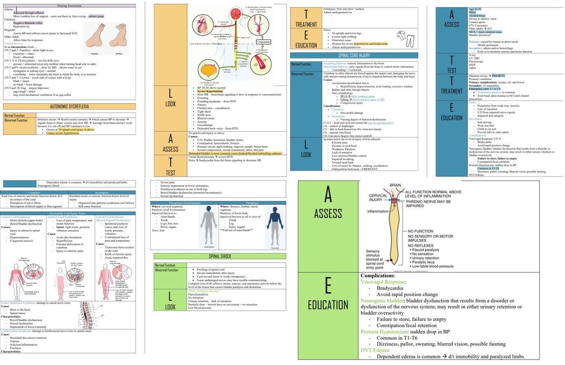 Neuro Nursing Notes Bundle - 23 PAGES - Etsy