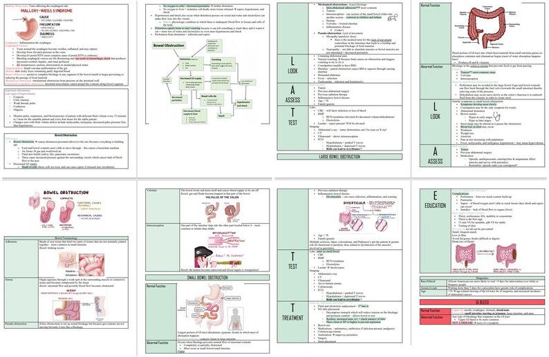 GI System Nursing Notes Bundle - 18 PAGES - Etsy UK