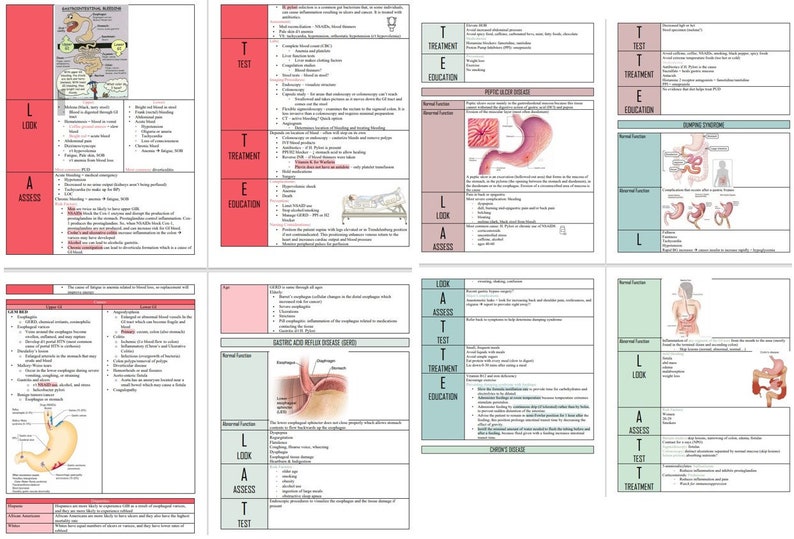 GI System Nursing Notes Bundle - 18 PAGES - Etsy UK
