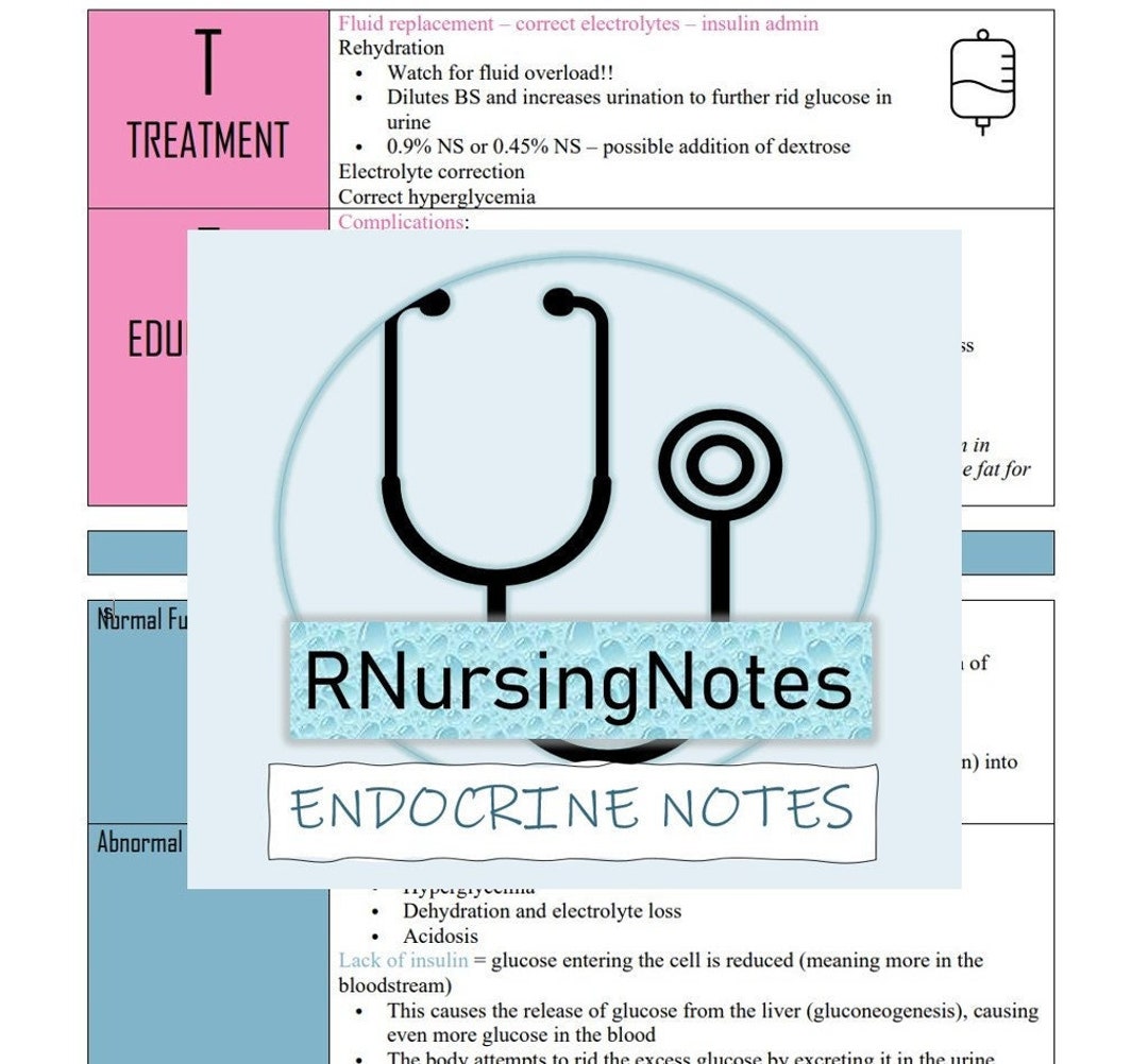 Endocrine Nursing Notes Bundle - 16 PAGES - Etsy