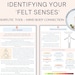 Felt Senses, Identifying Your Felt Senses, Somatic Therapy, Trauma ...