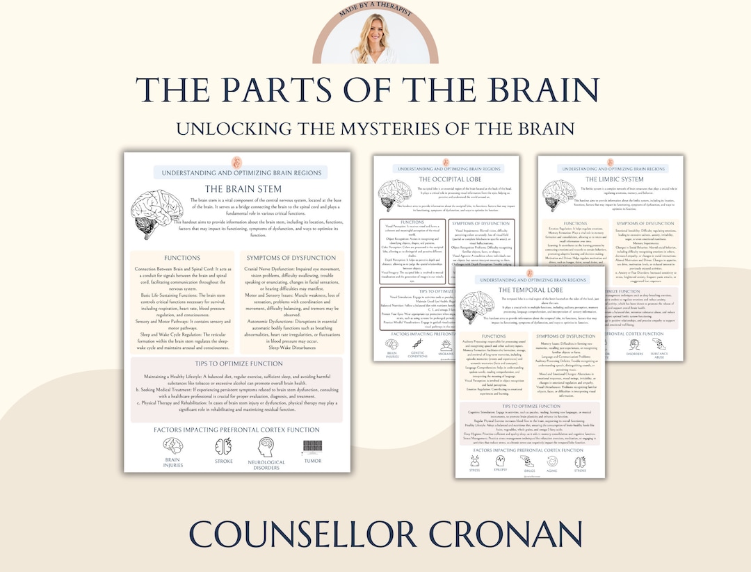 The Brain Parts Infographic Handout. Clinicians, Brain Regions ...