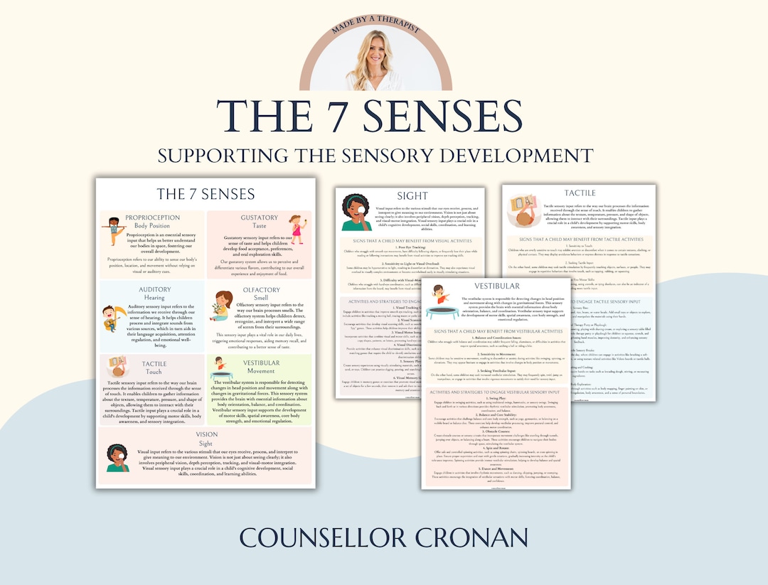 The 7 Senses Infographic Handout, Childhood Development, Neuroscience ...
