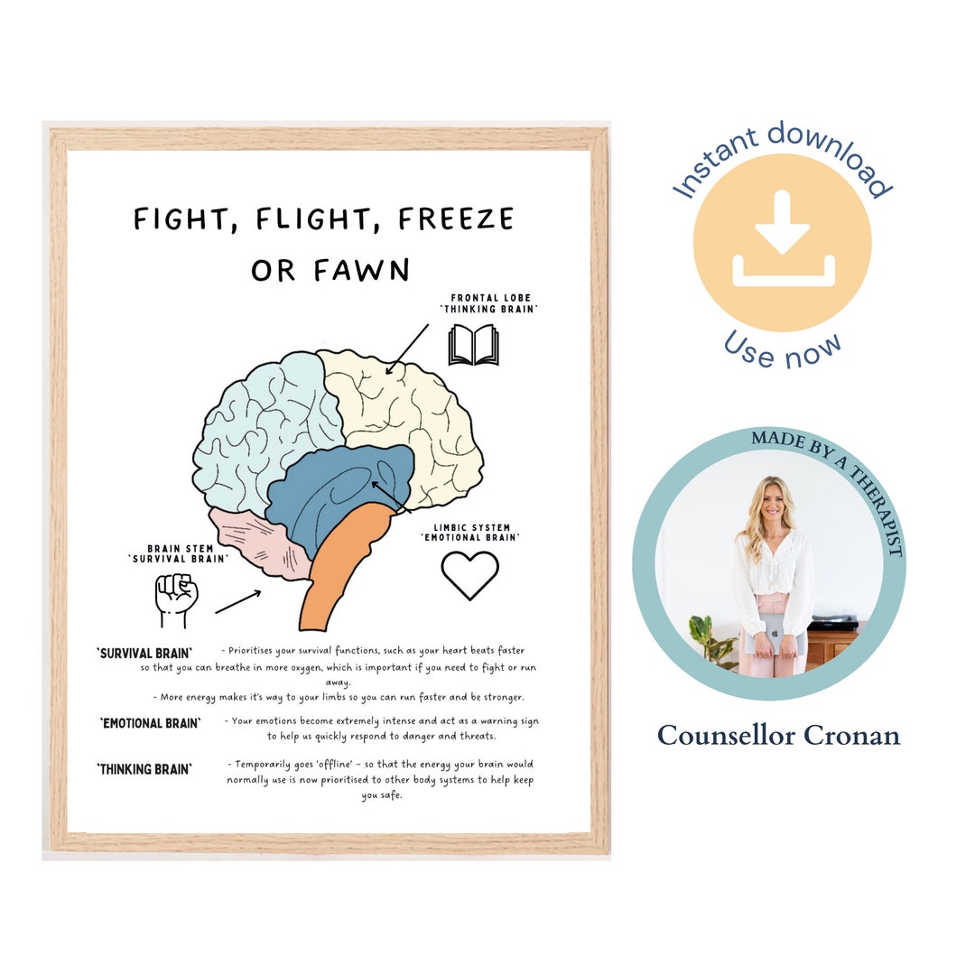 The Fight, Flight, Freeze or Fawn Response in the Brain Poster, Therapy ...