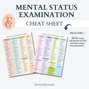 Therapy Form Bundle Mental Status Cheat Sheet Family - Etsy