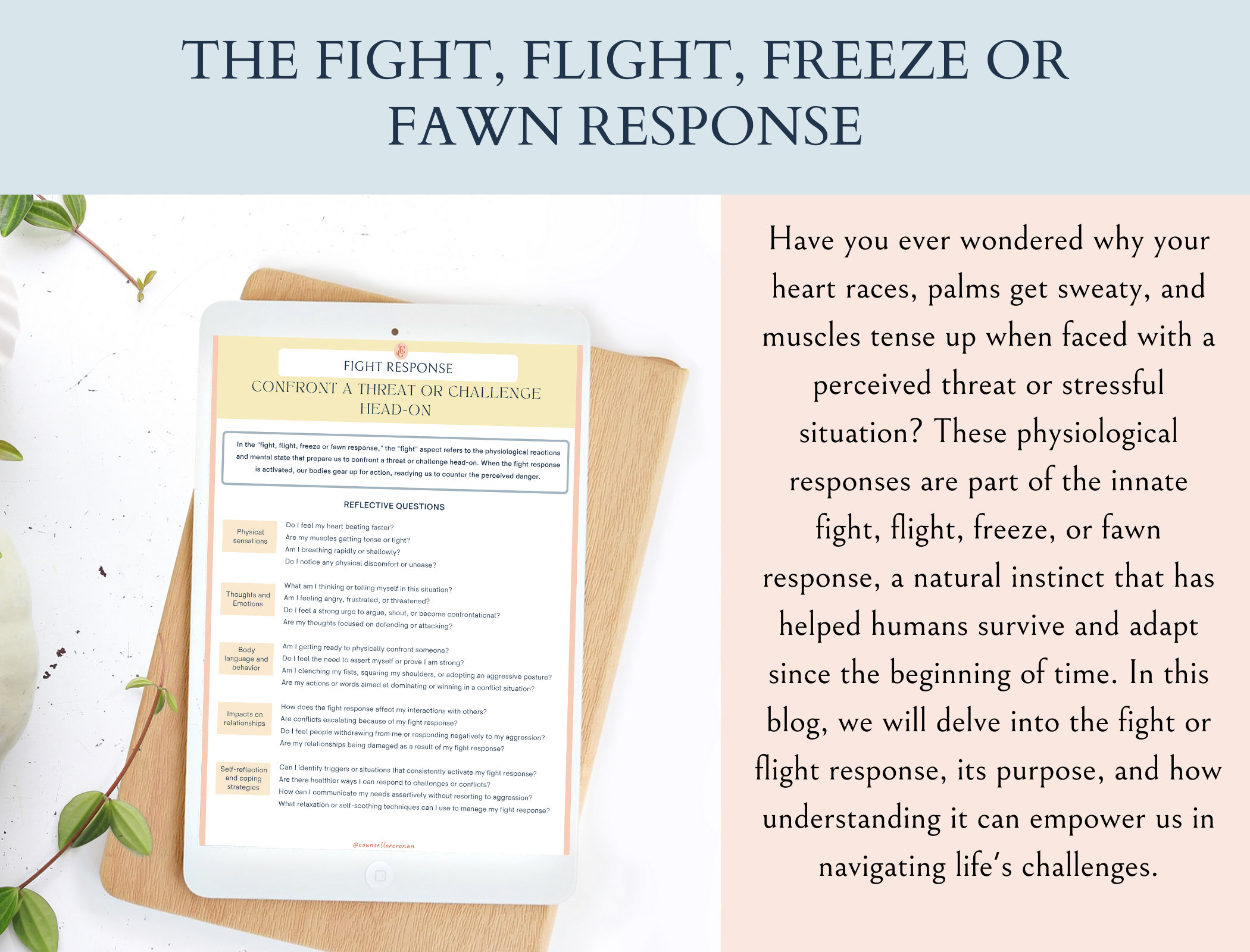 The Fight or Flight Response Workbook, Therapy Worksheets, Stress ...