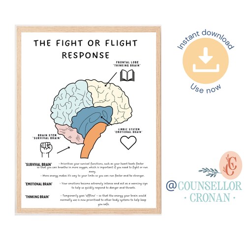 The Fight or Flight Response to the Brain Brain Anatomy - Etsy Ireland