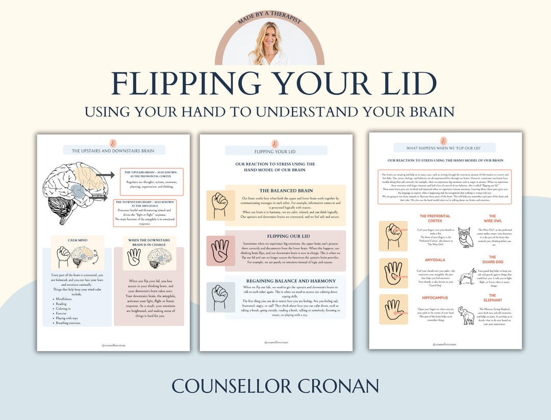 Understanding Your Brain When Your Flipping Your Lid, Brain and ...