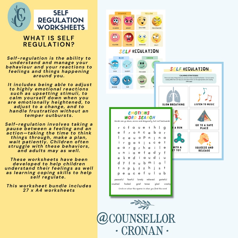 Self Regulation Zone Kids Feeling Worksheets School - Etsy