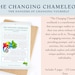 The Changing Chameleon. A Workbook About Not Changing Your Colors to ...