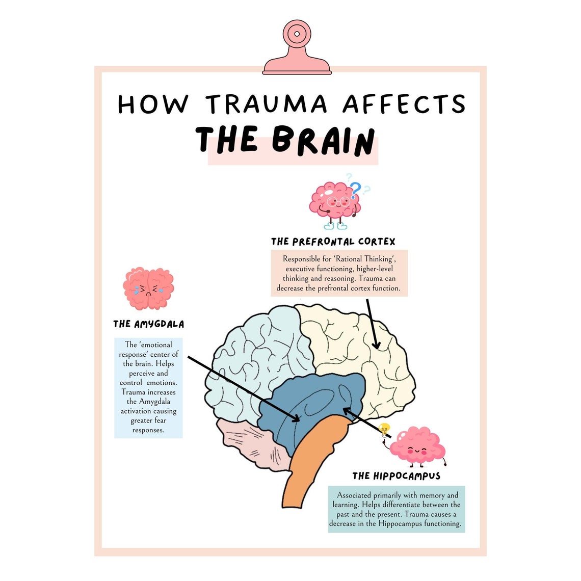 How Trauma Affects the Brain Poster Therapy Print Brains - Etsy UK