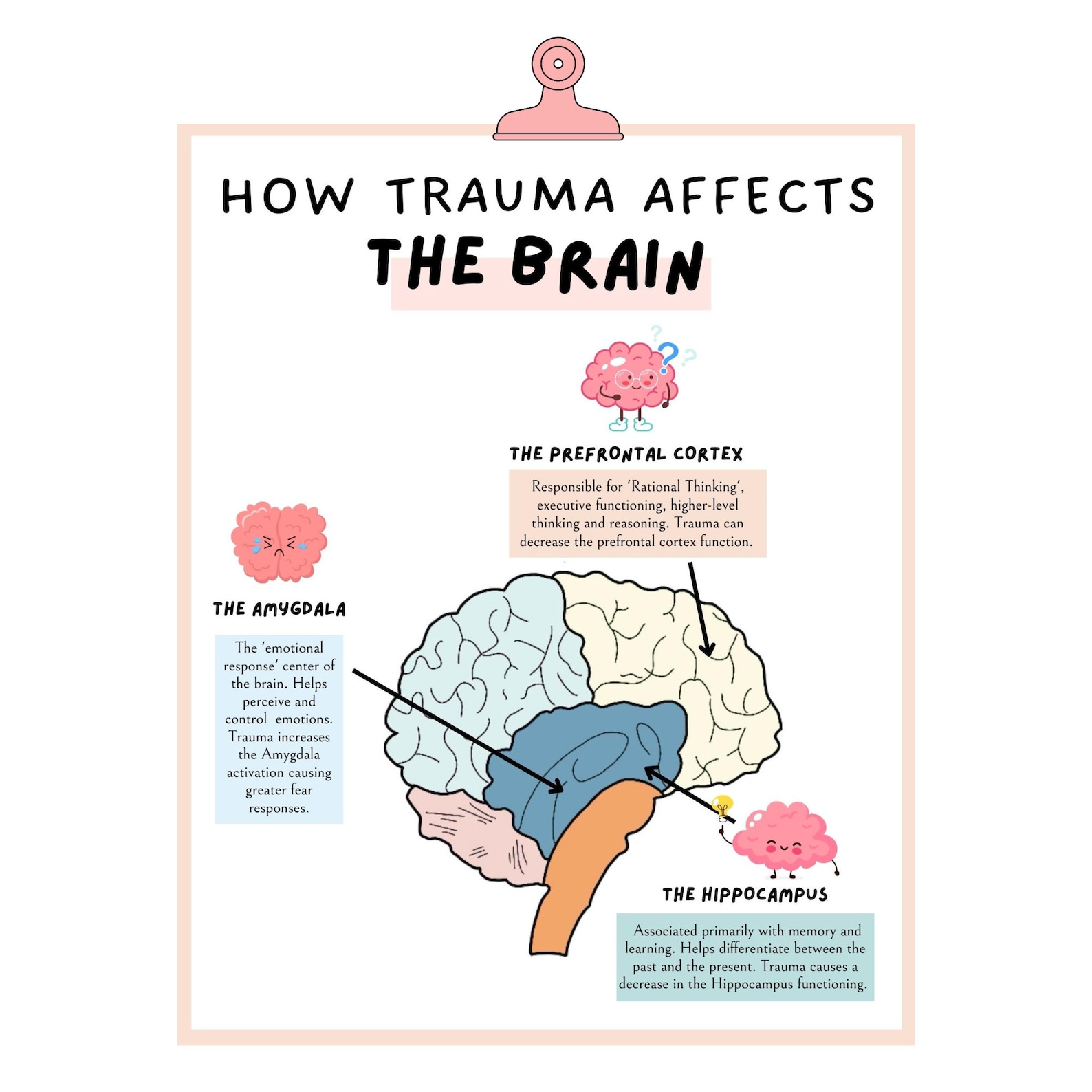 How Trauma Affects the Brain Poster, Therapy Print, Brains Response ...