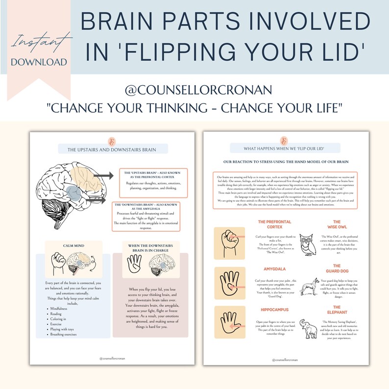 Understanding Your Brain When You Flip Your Lid Brain and - Etsy Australia