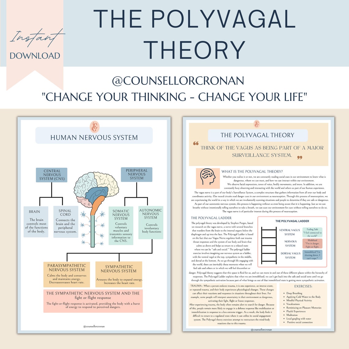 The Polyvagal Theory Vagus Nerve Stimulation Psychology - Etsy Australia