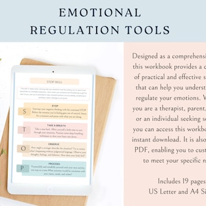 The Emotional Regulation Toolkit for Teens and Adults. Mindfulness ...