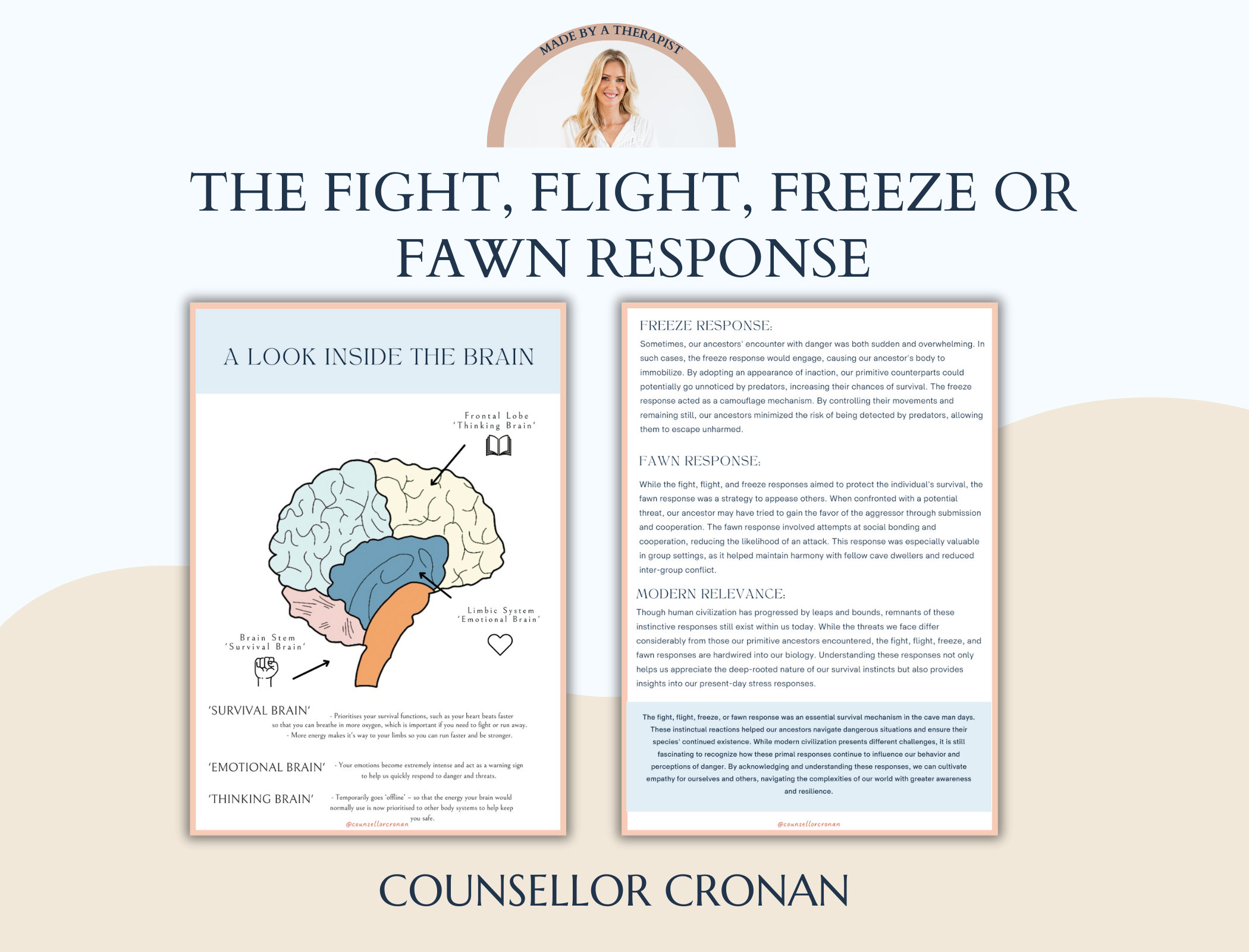 The Fight or Flight Response Workbook, Therapy Worksheets, Stress ...