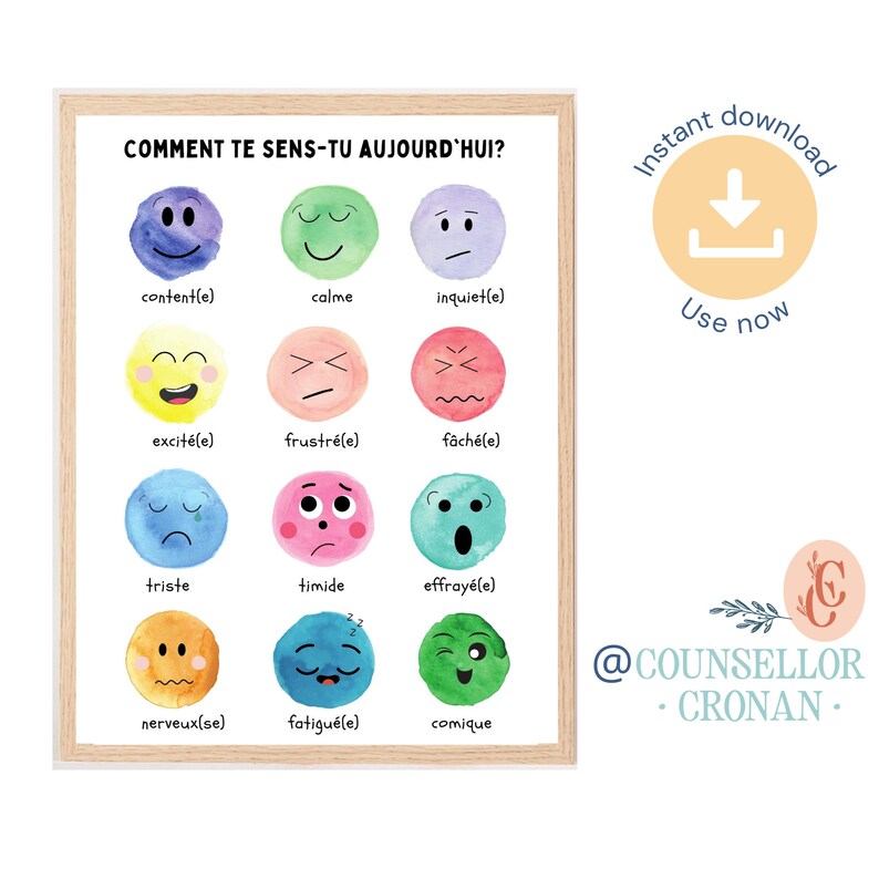 French Rainbow Feeling Poster, French Emotion Poster, Feelings Chart ...