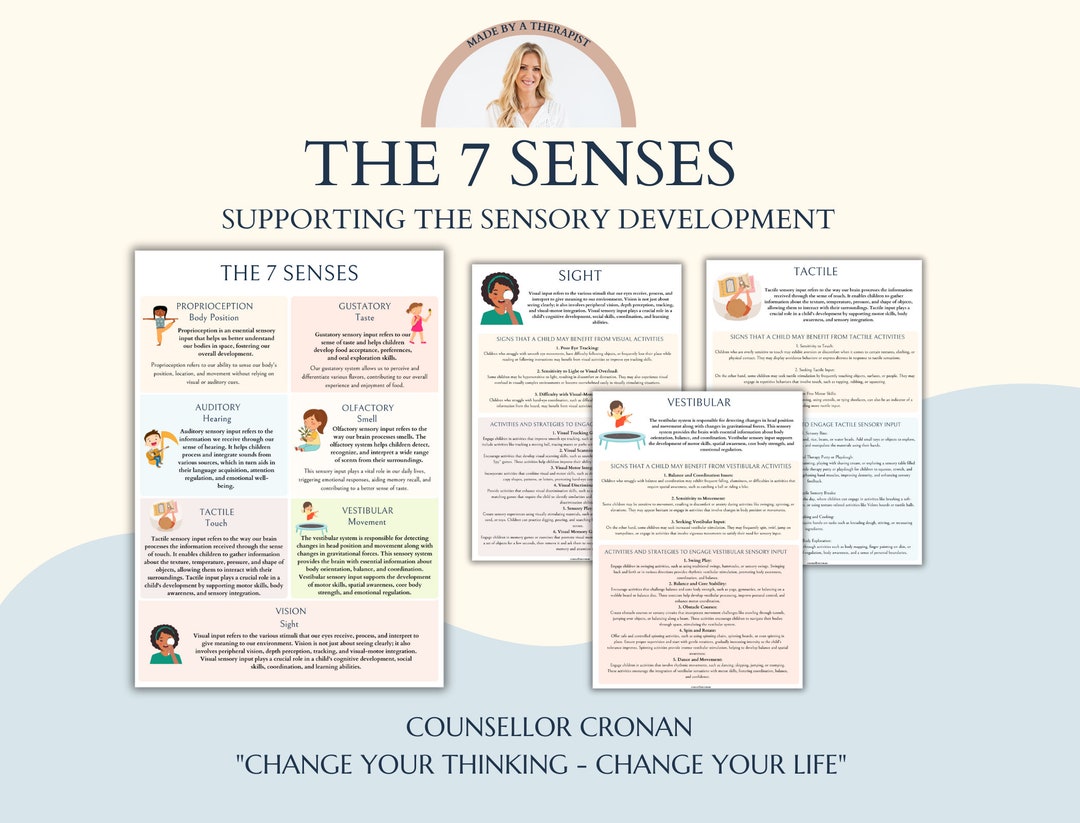 The 7 Senses Infographic Handout Childhood Development - Etsy