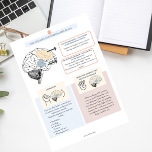 Understanding Your Brain When Your Flipping Your Lid, Brain and ...