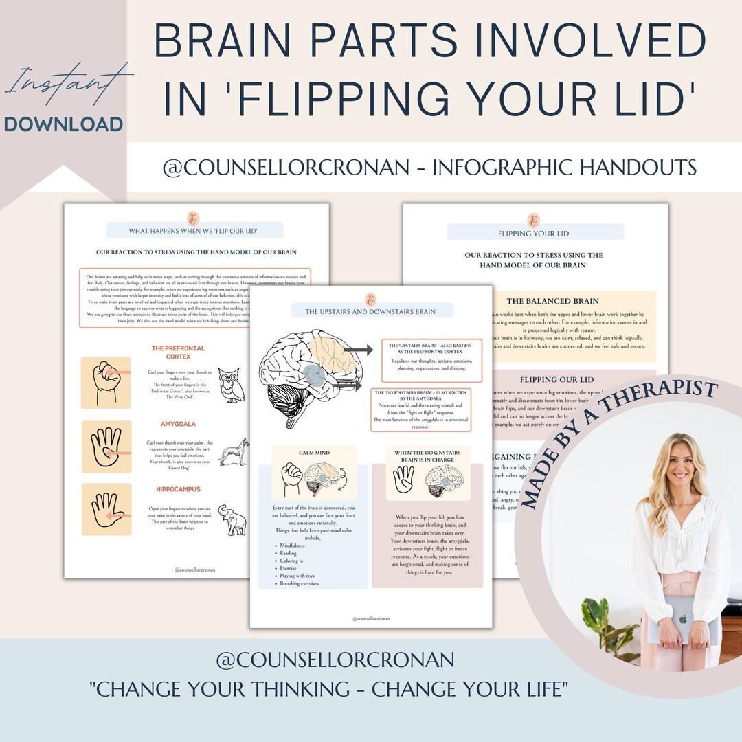 Understanding Your Brain When You Flip Your Lid Brain and - Etsy Australia Understanding Your Brain When You Flip Your Lid Brain and - Etsy Australia