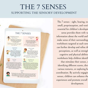The 7 Senses Infographic Handout, Childhood Development, Neuroscience ...