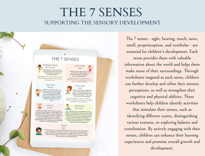 The 7 Senses Infographic Handout, Childhood Development, Neuroscience ...