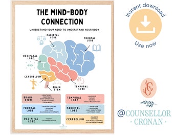 Brain Parts Poster - Etsy